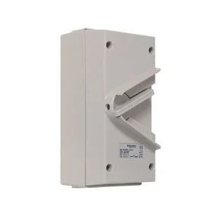 WHD20 GY Schneider Isolator Switch 20A 440V 2P IP66 - เทคเชอร์ :: สวิทชิ่งและหลอดไฟ LED ราคาส่ง